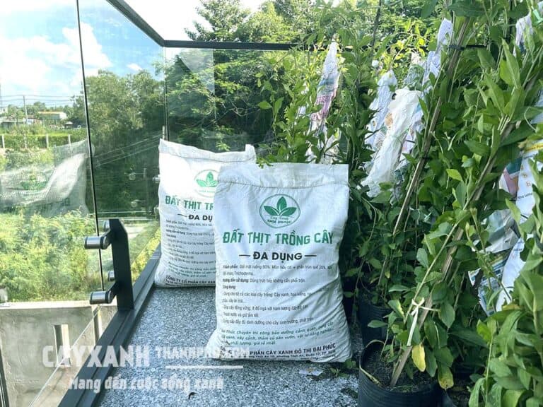 Cung Cấp Đất Trồng Cây | Đất Thịt Trồng Cây Chất Lượng, Giàu Dinh Dưỡng